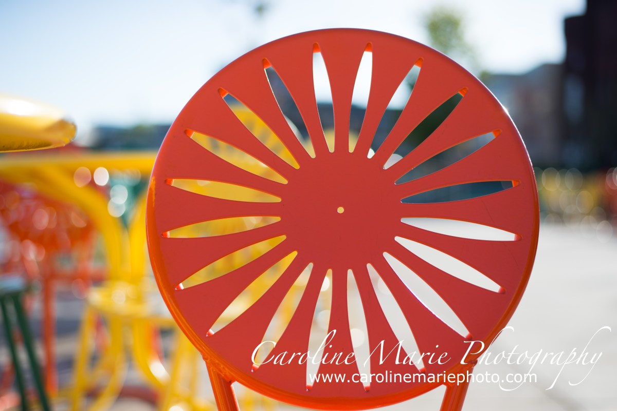 New UW Terrace Gallery – Caroline Marie Photography